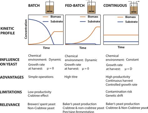Comparison Of Batch Fed Batch And Continuous Yeast Production Modes