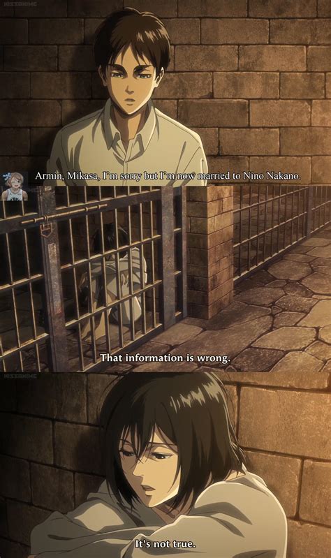 Poor Mikasa Jokes Aside Congrats To Ayana Taketatsuninos Va And Kaji Yukierens Va For
