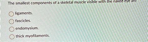 Solved The Smallest Components Of A Skeletal Muscle Visible With The