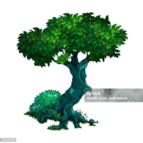 외로운 오래 된 낙 엽 나무 흰색 배경에 고립입니다 벡터 만화일러스트 레이 션 미스터리에 대한 스톡 벡터 아트 및 기타 이미지 미스터리 숲 삼림 Istock