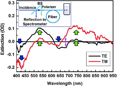 Refractive Index Sensor Performance For Te Black And Tm Red
