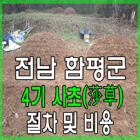 전남 함평군 산소 묘지 사초 4기 봉분 떼잔디를 잘 가다듬는 일 어떻게 할까 네이버 블로그