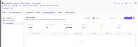 Dq For Datalake Not Showing On Ui · Issue 9651 · Open Metadataopenmetadata · Github