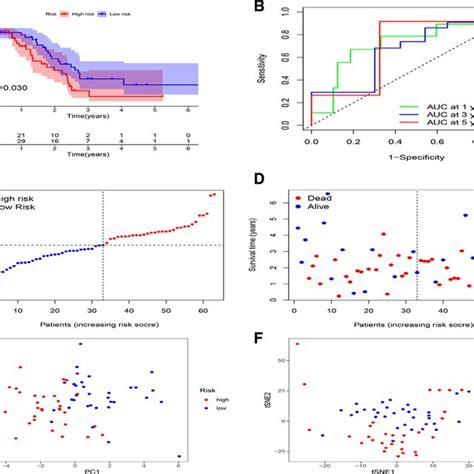 Prognostic Model For The Tcga Cohort A Lasso Regression Download Scientific Diagram
