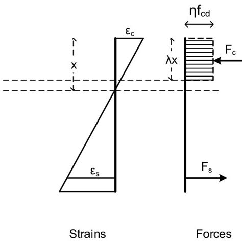 Cross Section Strain And Forces Distribution And Section Equilibrium