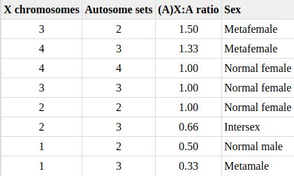 Sex Determination In Drosophila MCQ Practice Questions Answers