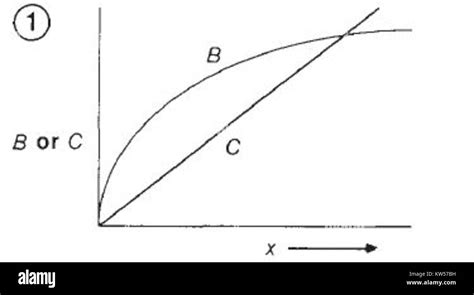 The Retinagraph Illustration Is A Medical Image Showing The Detailed Structure Of The Retina