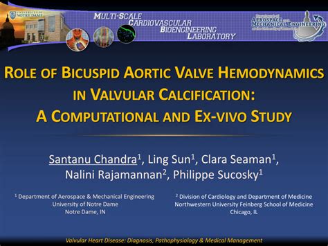 Pdf Role Of Bicuspid Aortic Valve Hemodynamics In Valvular Calcification A Computational And