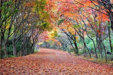자신을 사랑하는 법을 배워야 한다 조건 없이 자기 자신을 받아들이고 지금 자신의 모습을 사랑하고 격려해야 된다