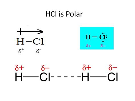 Ppt Electronegativity And Polarity Powerpoint Presentation Free Download Id1487055