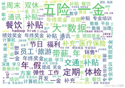 【python大作业爬虫实战】——爬取前程无忧（51job）数据可视化附完整代码51job 爬虫 Csdn博客