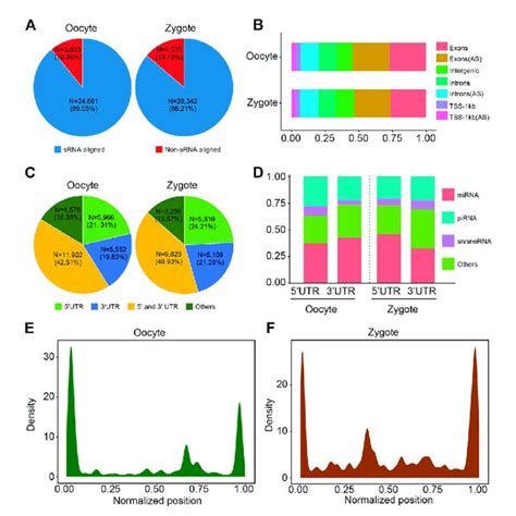 Annotation Of Transcripts By Combination Of Rna Seq And Srna Seq Data
