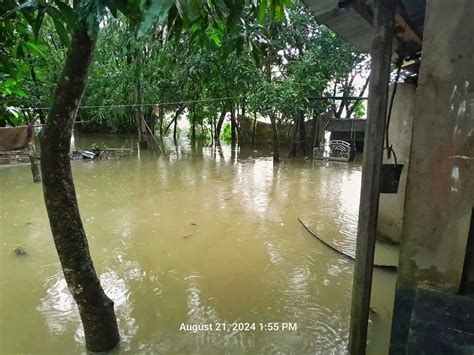 Robiul Hasan Patwary