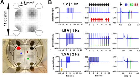 Novel High Dense Microelectrode Array Based Multimodal Bioelectronic Monitoring System For