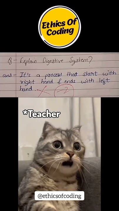 Correct Tho🙃 Coding Developer Programming Funny Youtubeshorts Youtube Youtuber Tamil