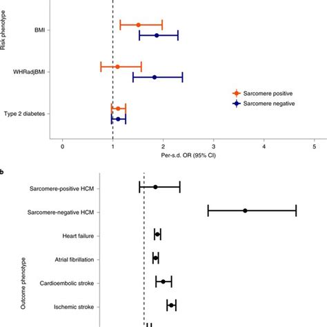 Two Sample Inverse Variance Weighted Mendelian Randomization Identifies Download Scientific