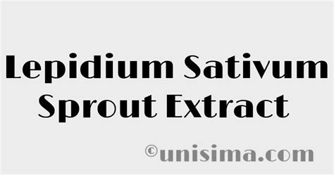 Lepidium Sativum Sprout Extract
