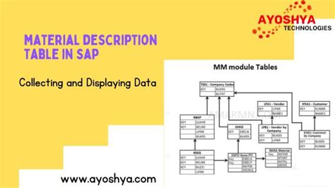 navigating sap data material description table in sap 2024 sap and oracle partner and support