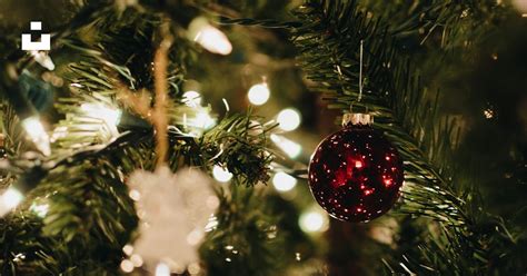 녹색 크리스마스 트리에 빨간 값싼 물건 사진 Unsplash의 무료 크리스마스 이미지