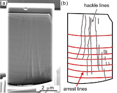 A Sem Image And B Schematic Diagram Of A Fracture Surface From Test Download Scientific