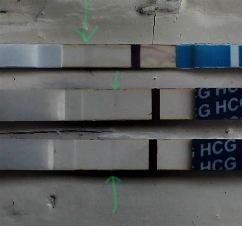 Тест на беременность определение беременности положительный отрицательный тест тест полоски
