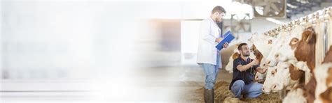 Exotic Animals Jiangsu Periodmed Science Technology Co Ltd