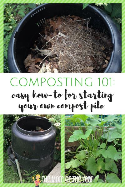 Composting How To Start Your Own Compost Pile The Mom Of The Year