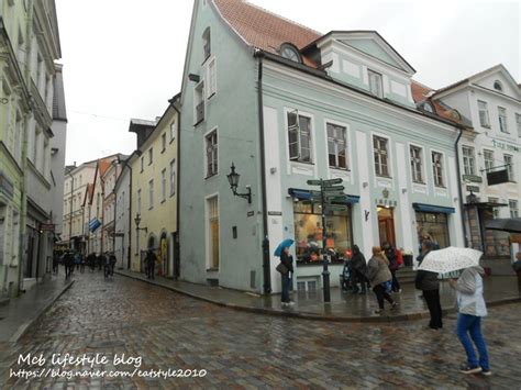 에스토니아 탈린 구시가지 여행 네이버 블로그