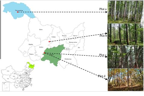 Figure 1 From Optimizing Forest Spatial Structure With Neighborhood
