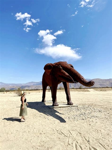 Hiking The Anza Borrego Slot Canyon Everything You Need To Know
