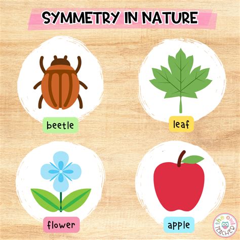 7 Superb Symmetry Activities With A Freebie The Owl Teacher 7 Superb Symmetry Activities With A Freebie The Owl Teacher