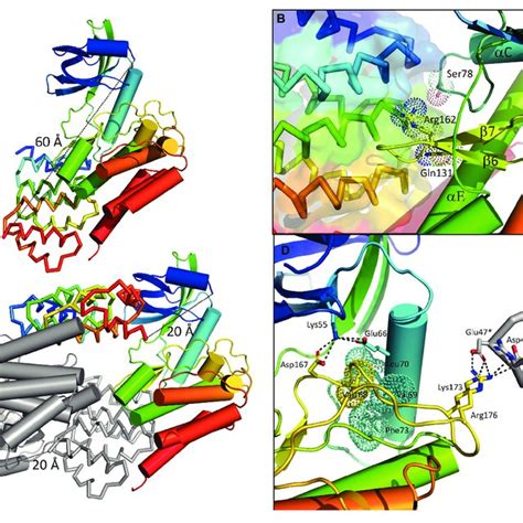 X Ray Diffraction Data Processing And Refinement Statistics Download