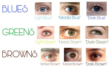 Eye Color Chart Eye Color Chart Beauty Makeup Tips Eye Color