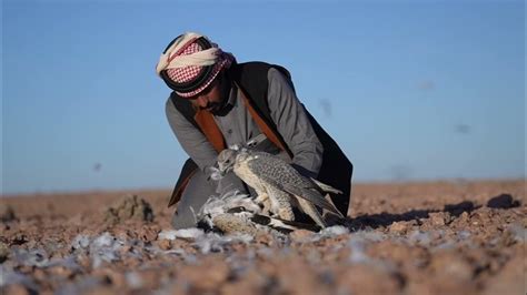 مقناص صاحب السمو الملكي الأمير عبدالعزيز بن سعود بن نايف بن عبدالعزيز