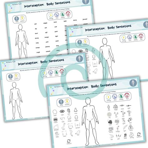 Body Sensations Interoception Body Cues Self Regulation Supports Energy Feelings Resources