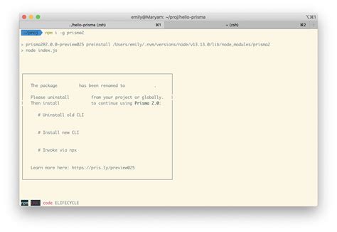 prisma2 cli setup message invisible in light terminal themes · issue