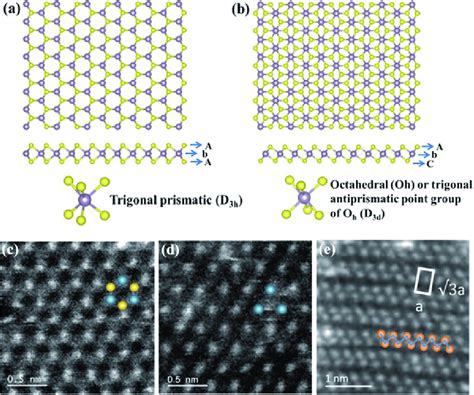 8 Sl Demonstration For A Trigonal Prismatic As Well As B Octahedral Download Scientific Diagram