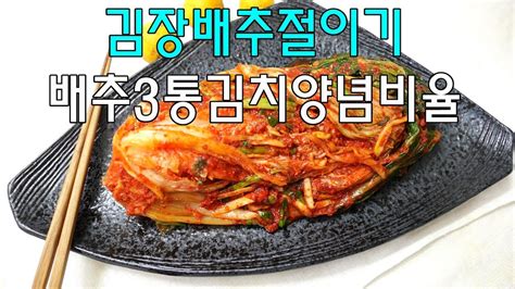 김장배추 맛있게 절임하기 여기에 답 있죠 초보도 할수있는 배추김치 3포기 양념비율 사각사각 김치담그기 Youtube