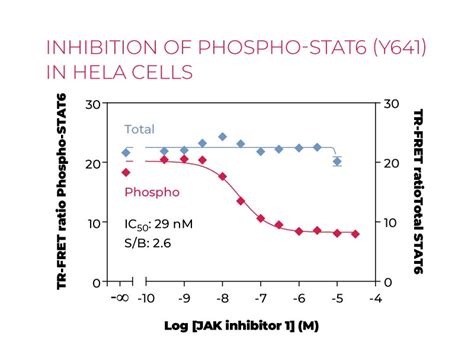 Thunder™ Phospho Stat6 Y641 Total Stat6 Tr Fret Cell Signaling