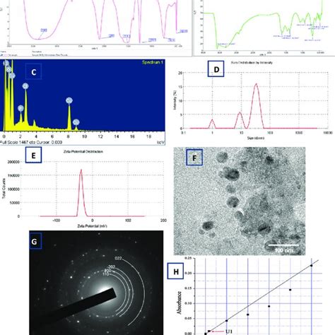 Qualitative Characterization Of Nuclear Morphology By DAPI Staining Download Scientific Diagram