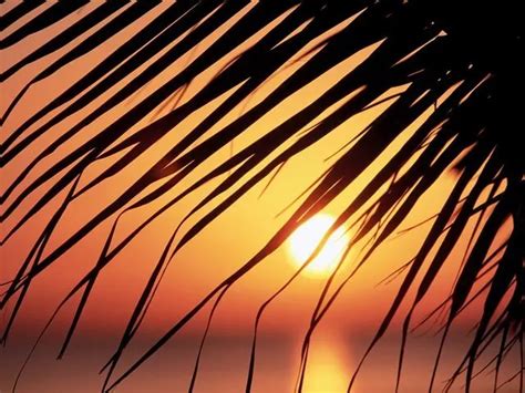 ثبت دمای بالای ۵۰ درجه در ۷ شهر خوزستان دیدبان ایران