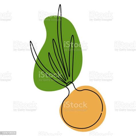 연속 한 줄 그리기 양파 벡터 그림입니다 화려한 반점이있는 흰색 배경에 검은 색 라인 아트 흰색 배경에 고립 된 만화 양파 비건