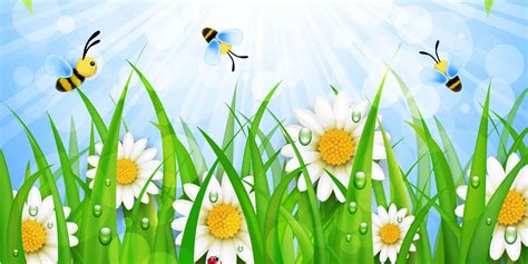 Download Cute Bee Pictures