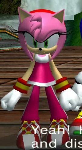 Amy Rose Sonic Riders Gravidade Zero Pink Rose Sonic Wiki Zone