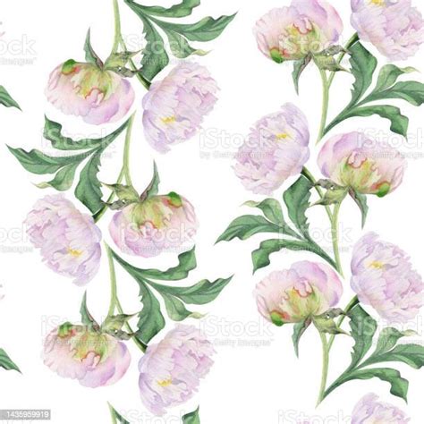 손으로 그린 섬세한 분홍색 모란 꽃 새싹 및 나뭇잎이있는 수채화 원형 프레임 배열 흰색 배경에 고립되어 있습니다 초대장 결혼식