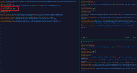 OpenEuler中使用RKE部署Rancher和K S Jiasen s Blog