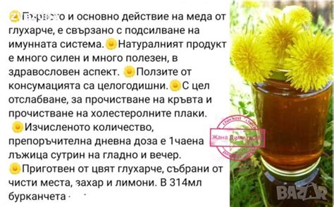 Сладко мед от глухарче 2023г в Домашни продукти в гр Пазарджик Id40183154 — Bazar Bg