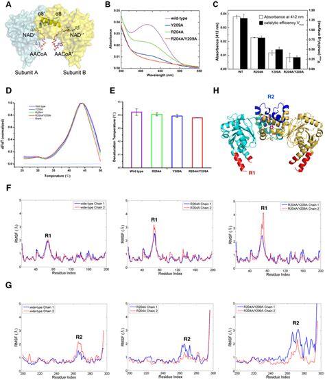 Characterization Of The Charge Transfer Complex Intermediate