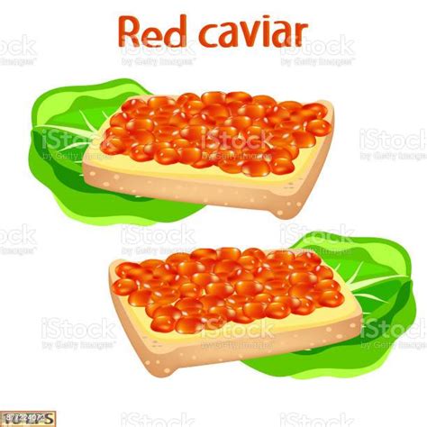 레드 캐 비어입니다 연어 캐 비어 흰색 배경 클로즈업에 고립 된 샌드위치 벡터입니다 0명에 대한 스톡 벡터 아트 및 기타 이미지 0명 Salty Snack 건강한