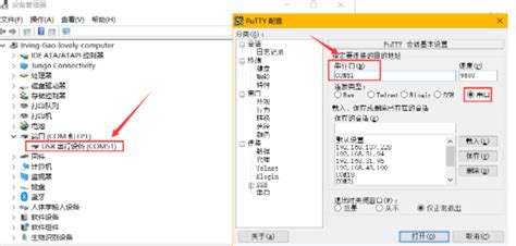 Micropython固件如何使用pico刷固件并配置vscode开发环境 Php博客 李雷博客